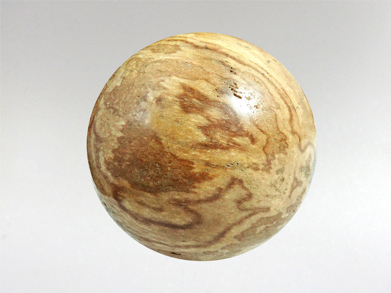 Crystal Ball - Fossil Wood - Crystal Store Australia