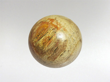Crystal Ball - Fossil Wood 5