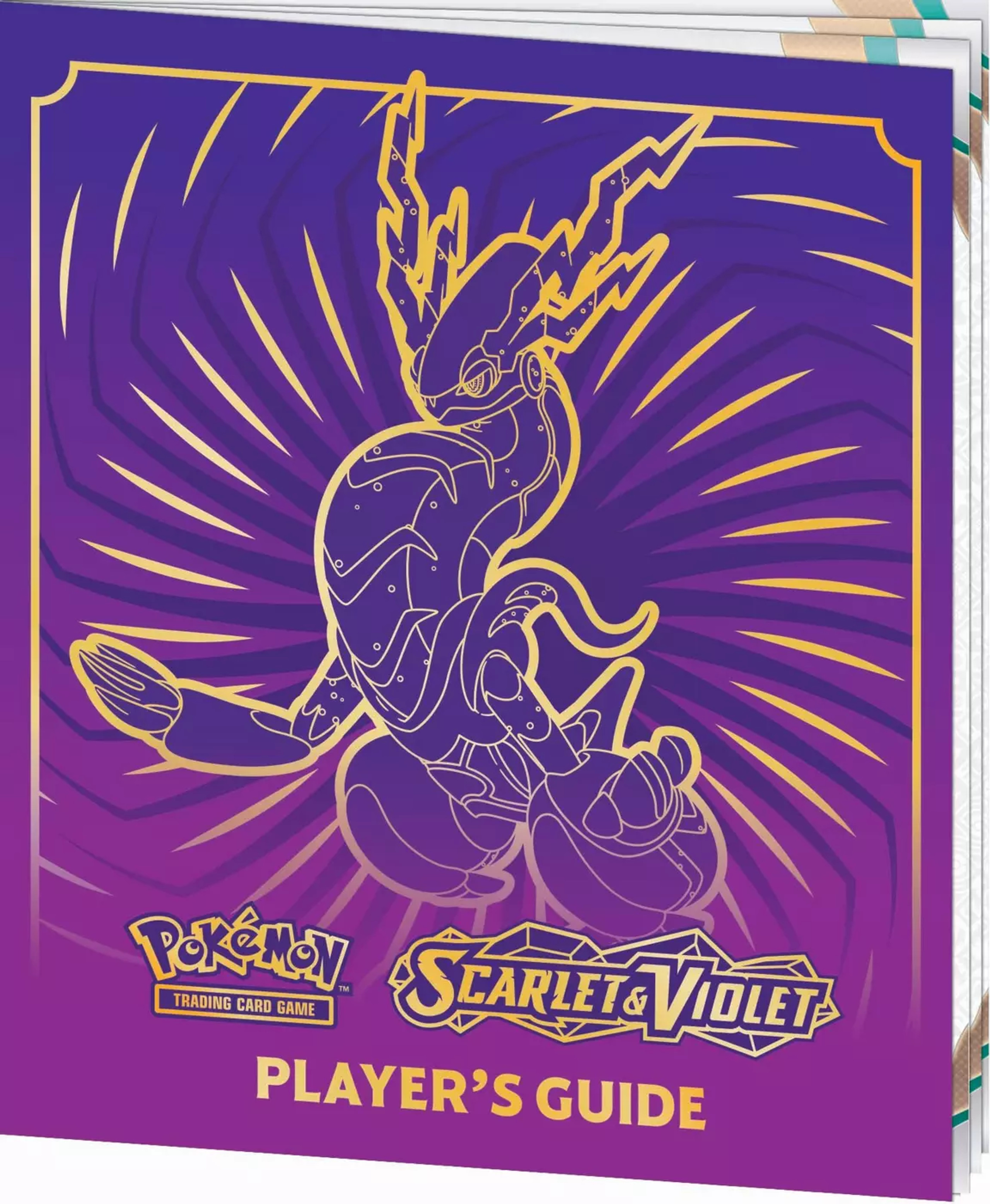 Pokémon Tcg Scarlet And Violet 151 Binder Collection