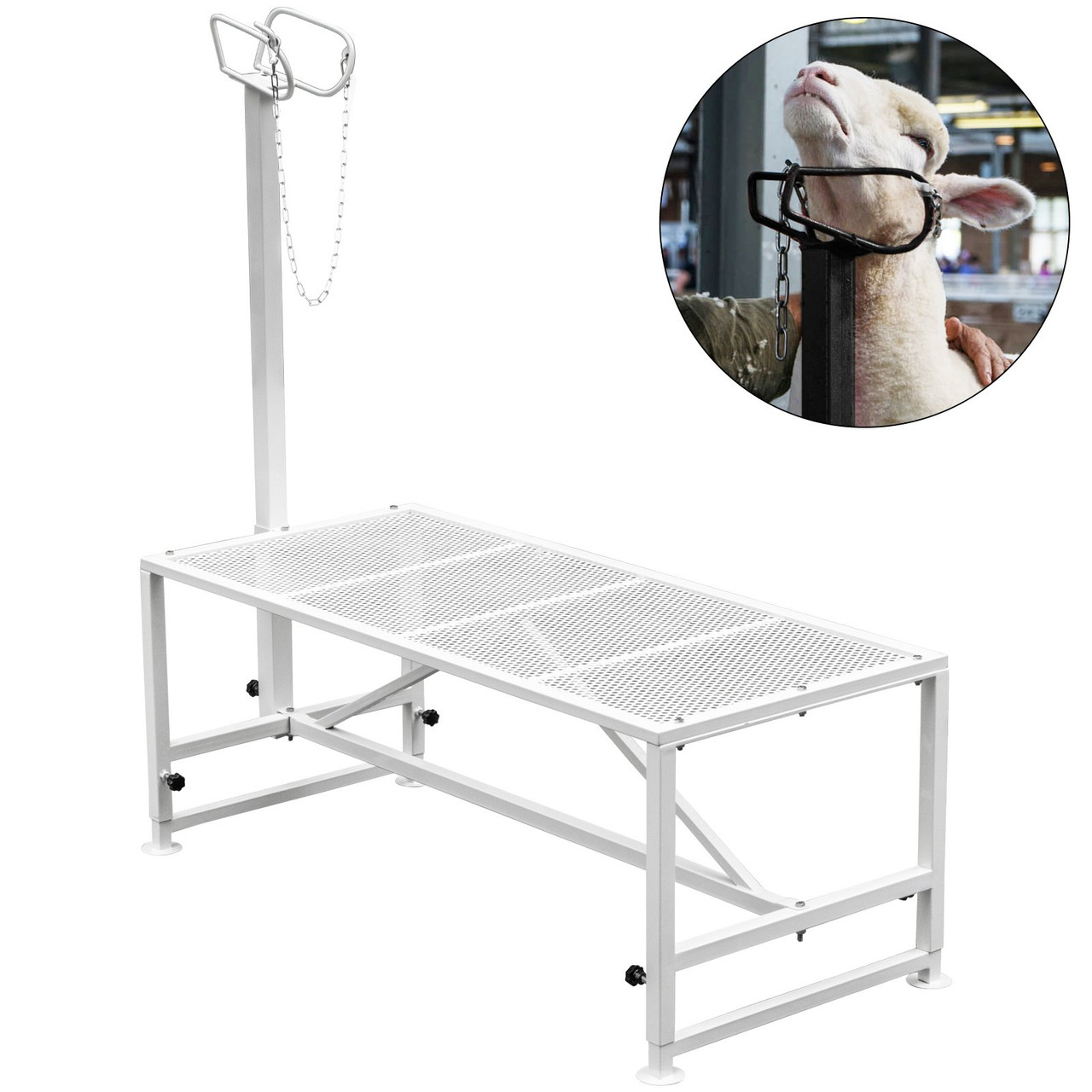 Livestock Stand 51x23 inches, Trimming Stand with Straight Head Piece ...