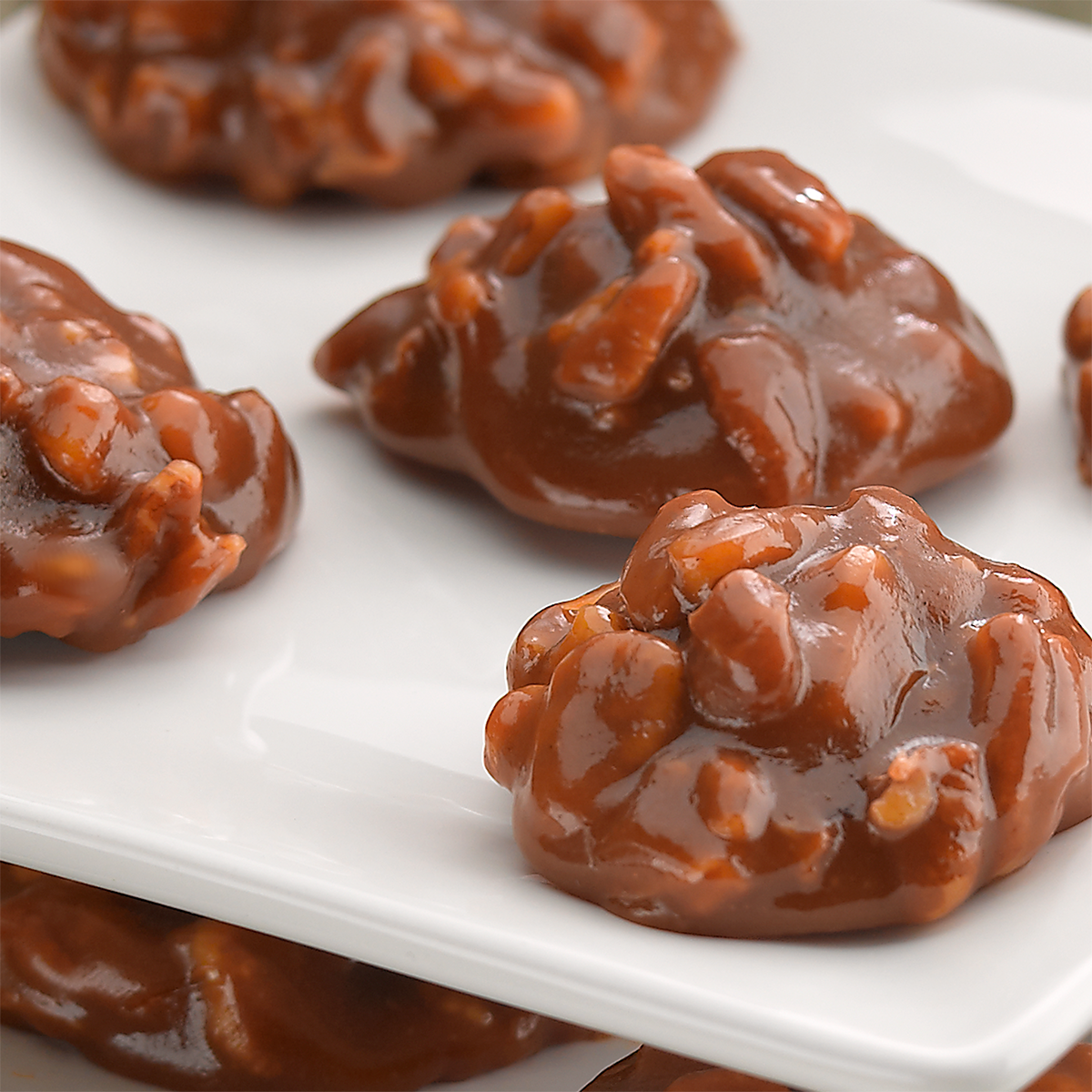 Case of 12 Decorative Praline Gift Boxes