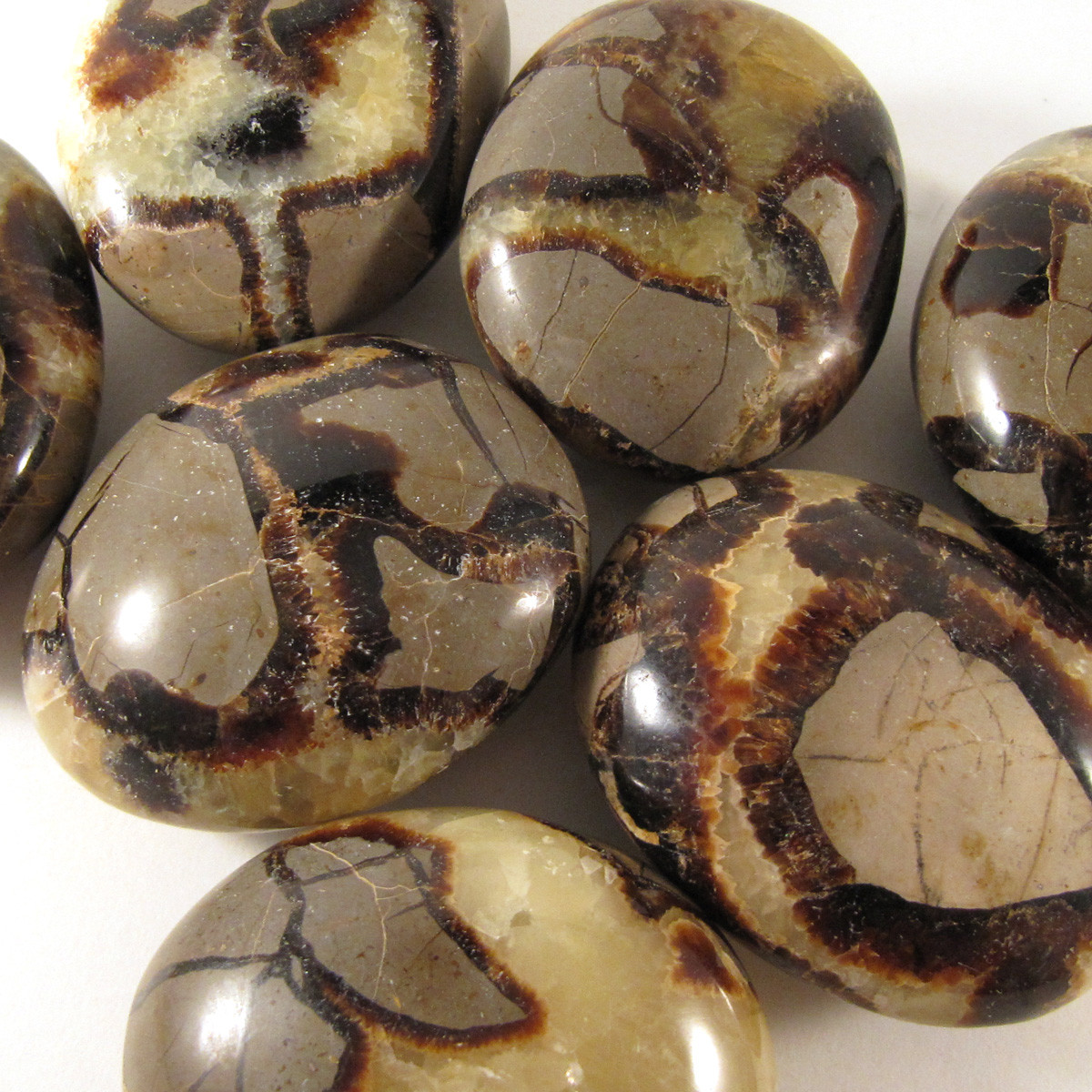 ECONOMY Septarian Pebble, 1 (one) piece, Palm Stone, small - Madagascar ...