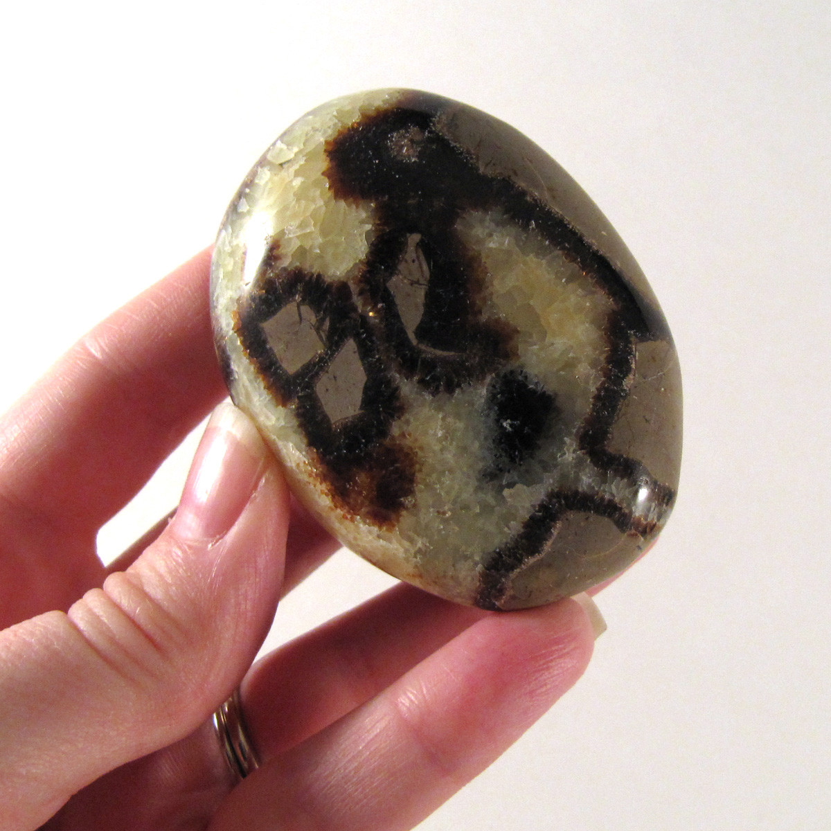 ECONOMY Septarian Pebble, 1 (one) piece, Palm Stone, small - Madagascar ...