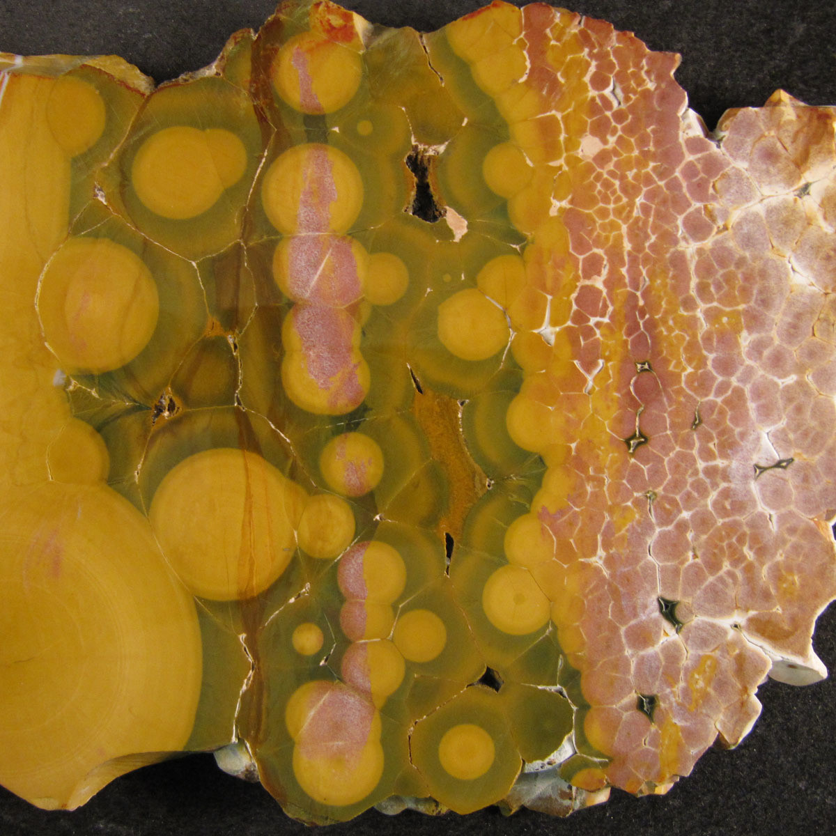 Ocean Jasper Botryoidal Freeform