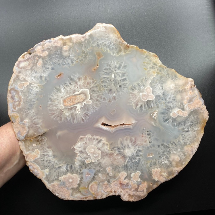 Flower Agate Slab at Enter the Earth