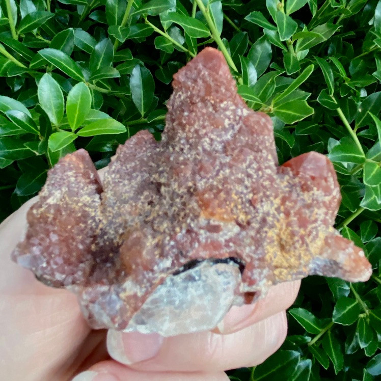 Rare Moroccan Red Dragon Quartz at Enter the Earth