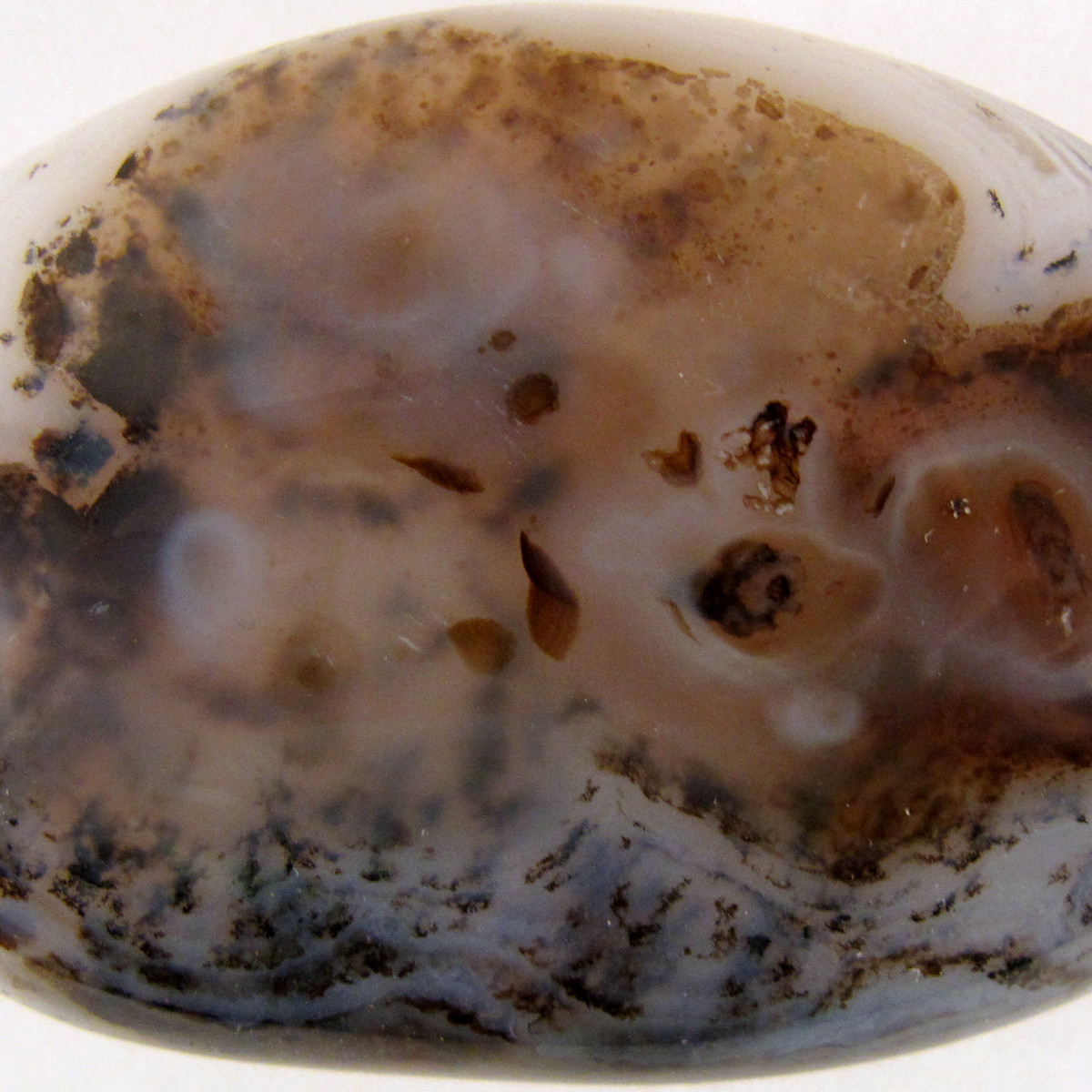 Agate Dendrite Pebble - MAGA003 - Enter the Earth, Inc