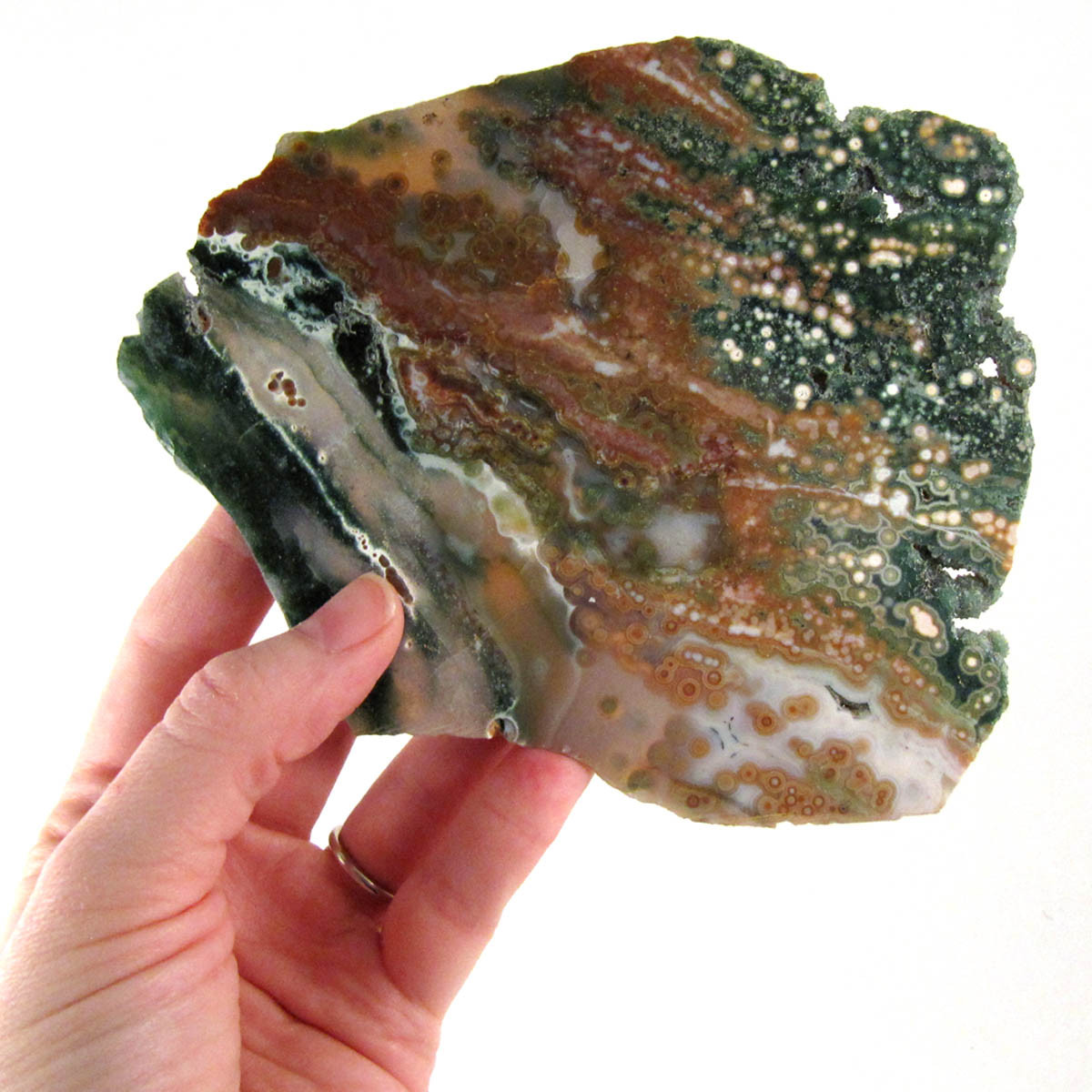 Ocean Jasper Slab | Enter the Earth