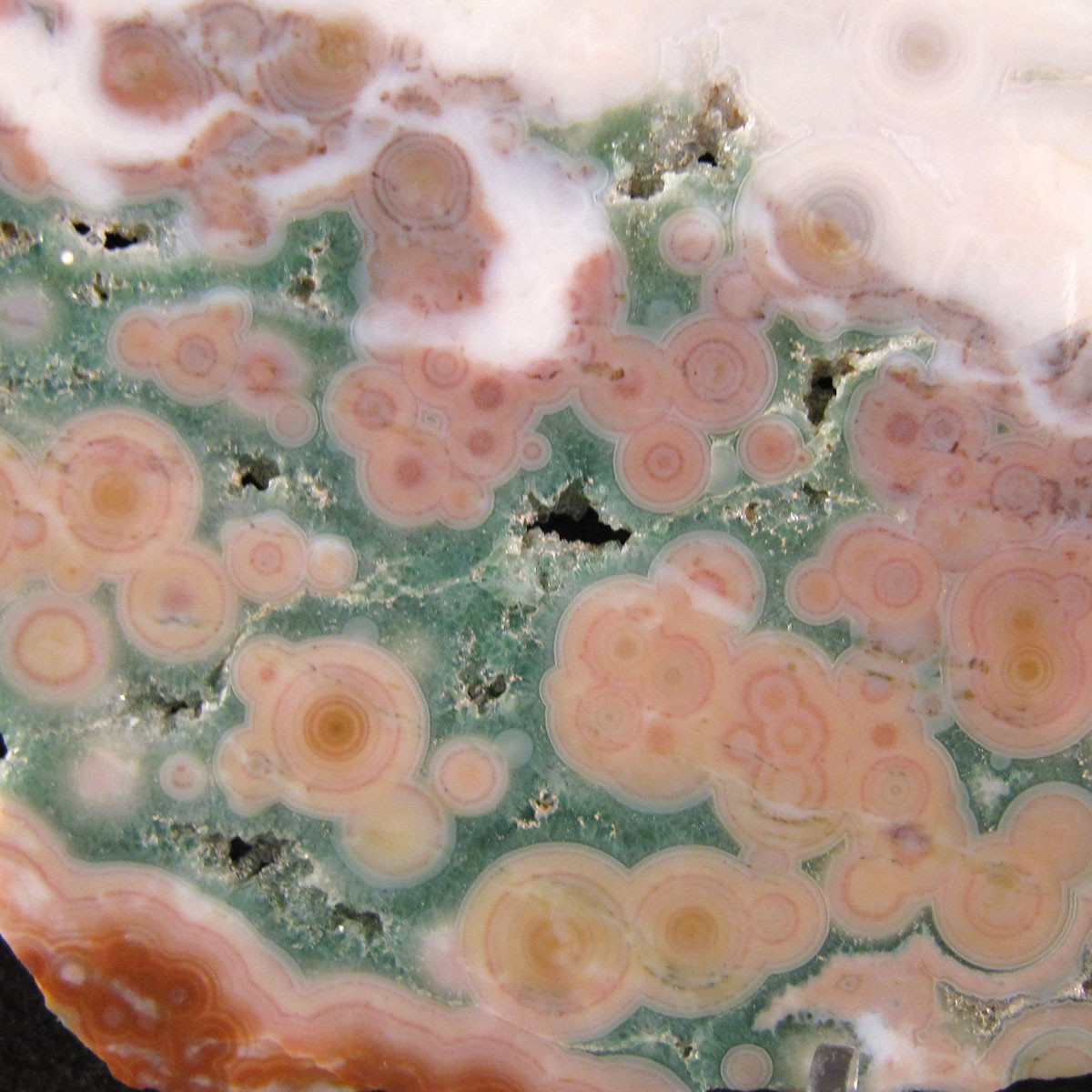Ocean Jasper Slab | Enter the Earth