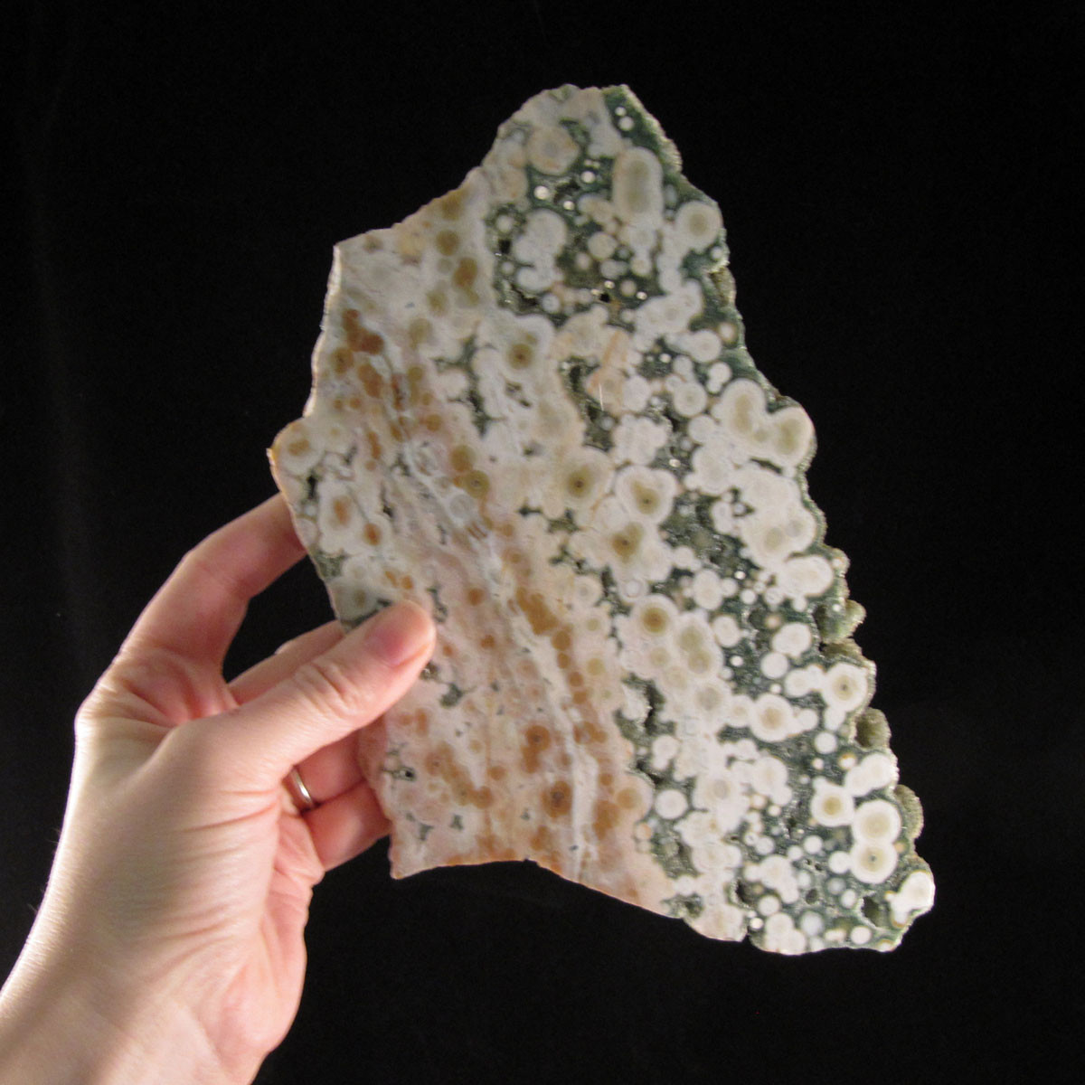 Ocean Jasper Slab | Enter the Earth