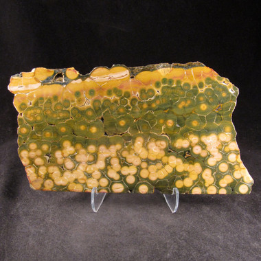 Ocean Jasper Botryoidal Freeform