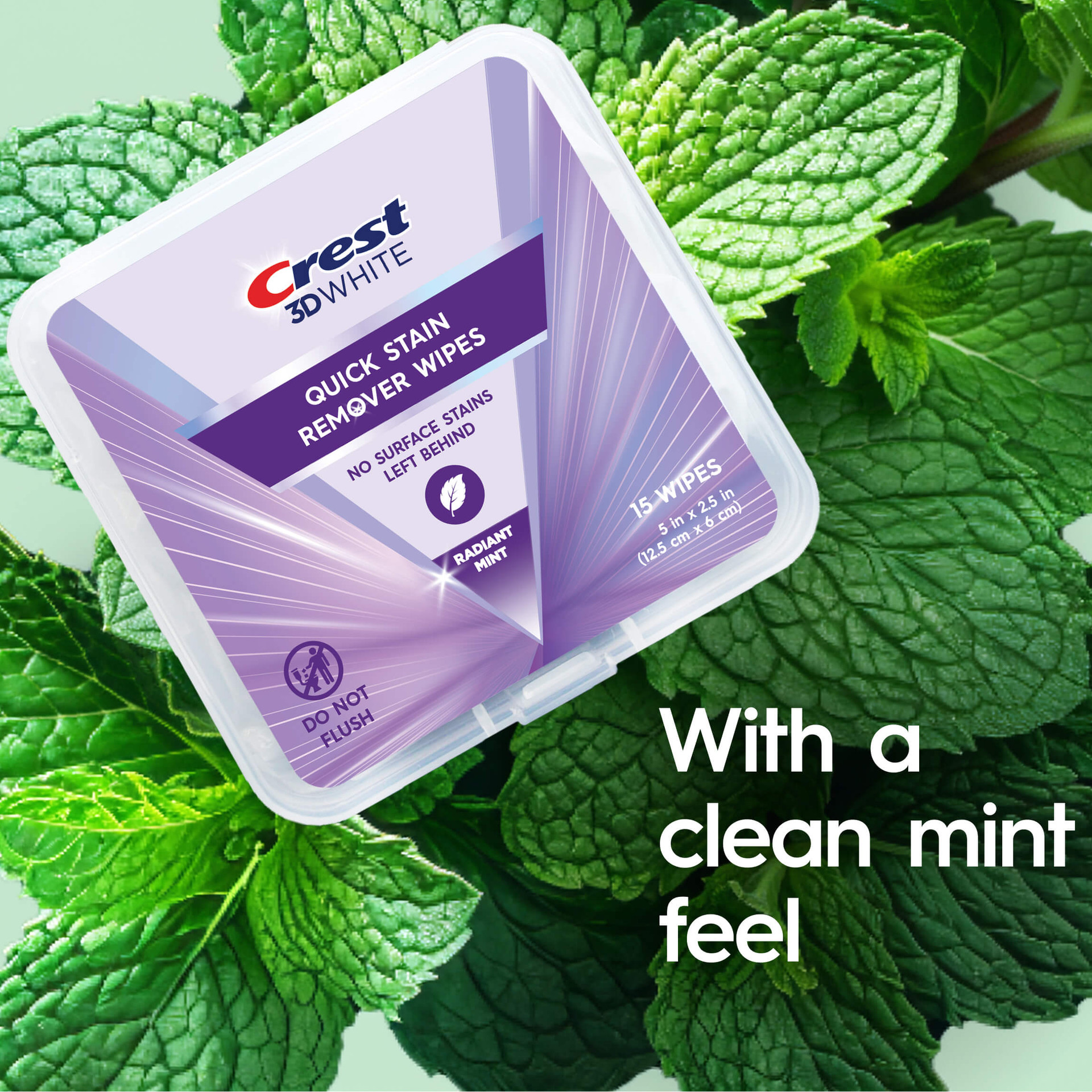 Crest Quick Stain Remover - Wipes in Hard Case | GTO