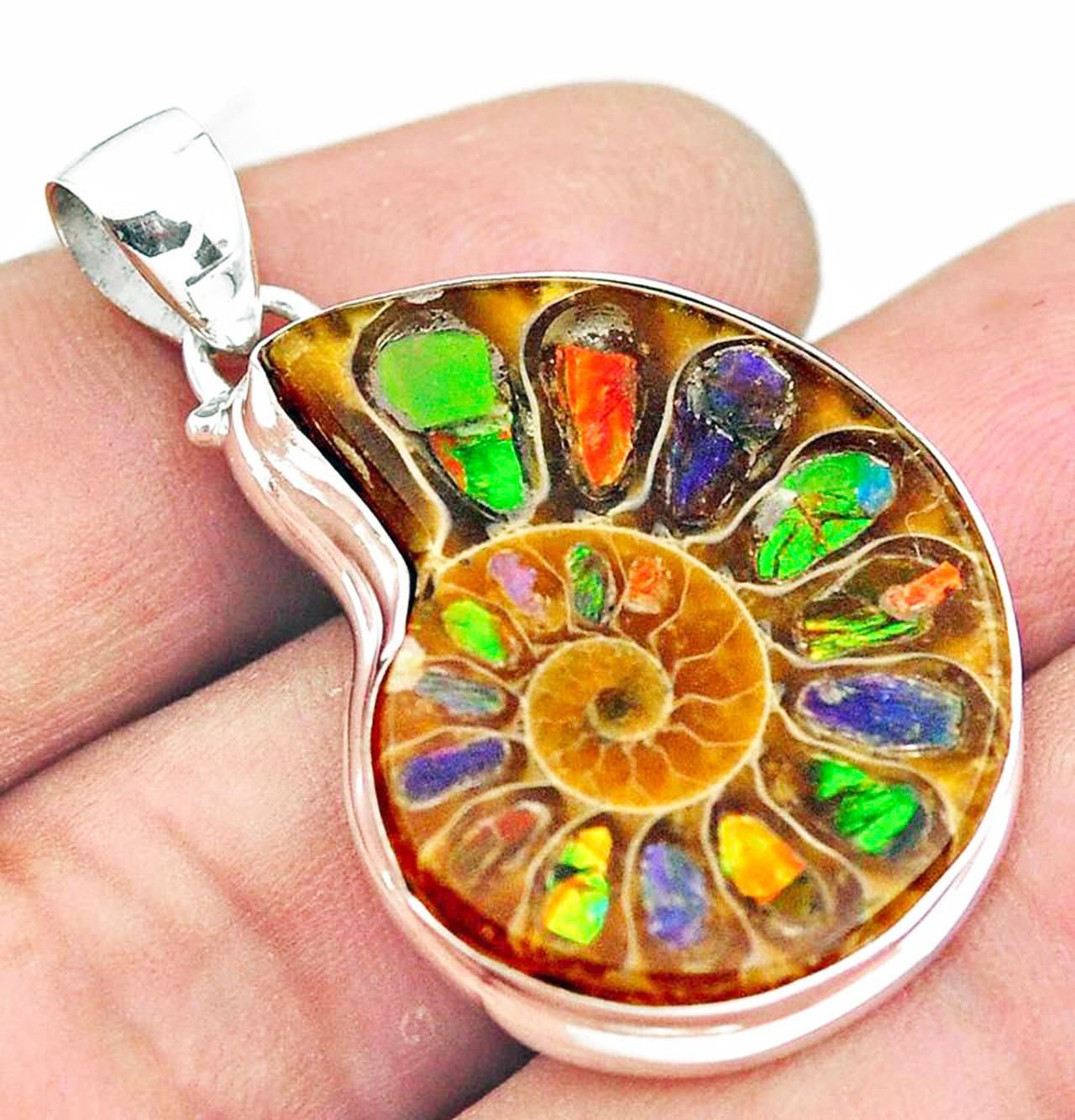 Ammolite Inlayed Ammonite 3AIA