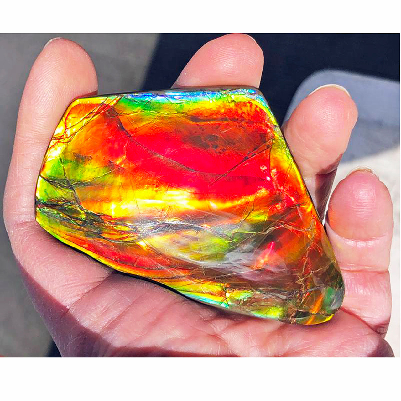 Ammolite Large Polished Hand Specimen 14LHPLS