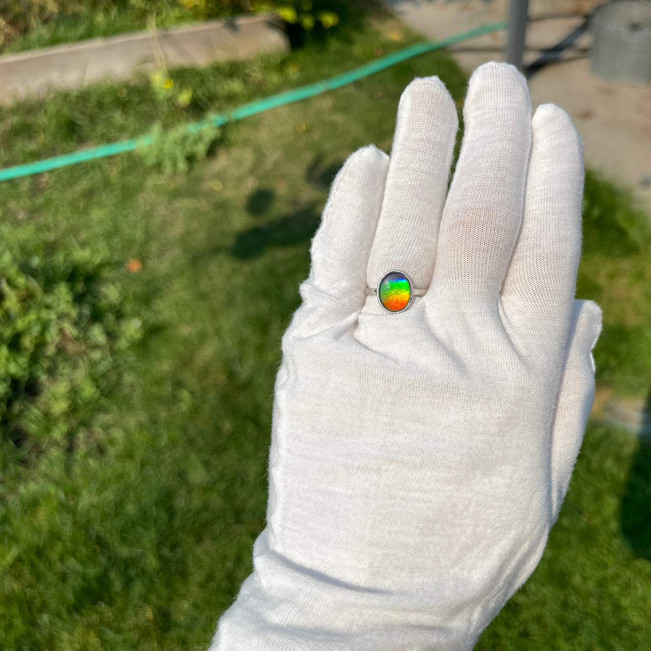 Ammolite Oval Ring Sterling Silver