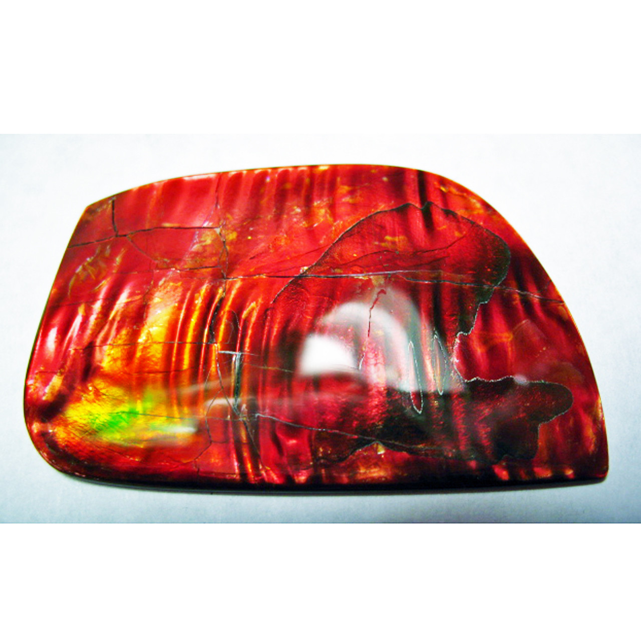 Ammolite Large Polished Hand Specimen 14LHPLS