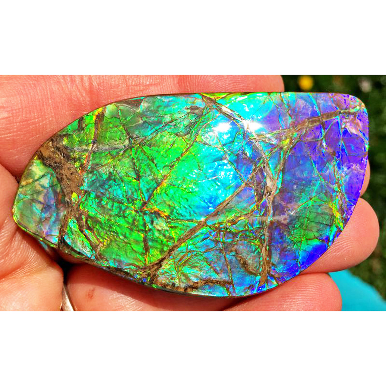 Ammolite Large Polished Hand Specimen 14LHPLS