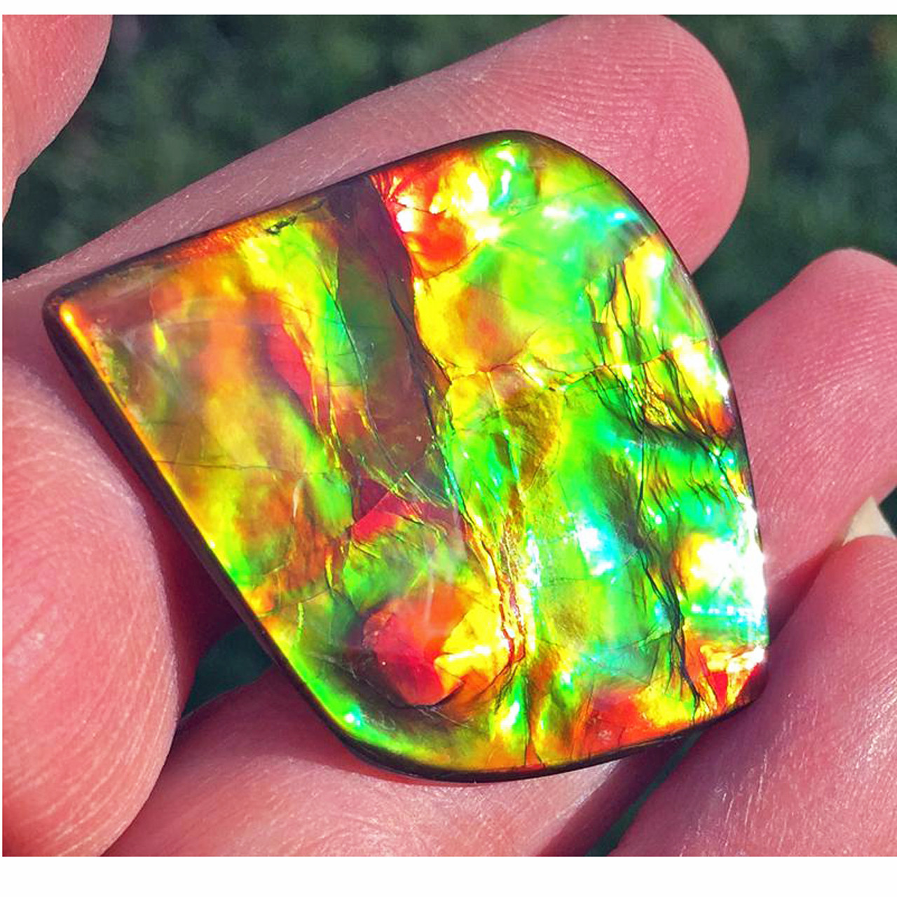 Ammolite Large Polished Hand Specimen 14LHPLS