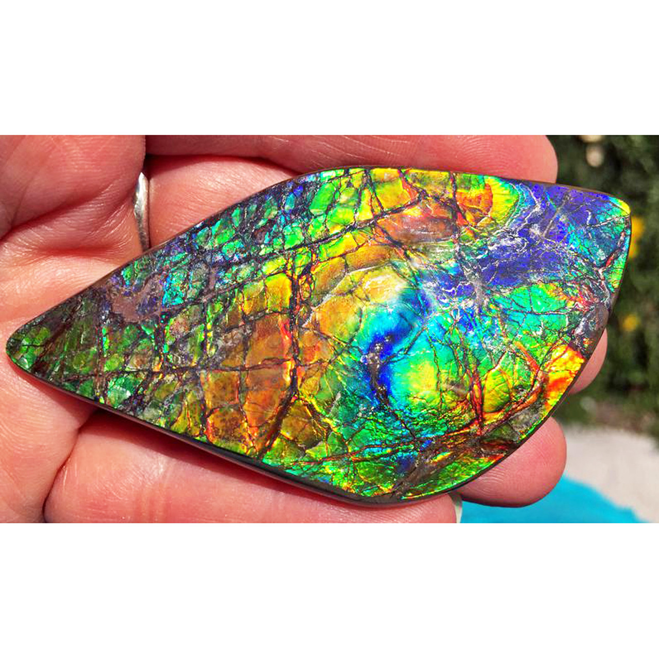 Ammolite Natural Polished Loose Stone Freeform 28HPLS