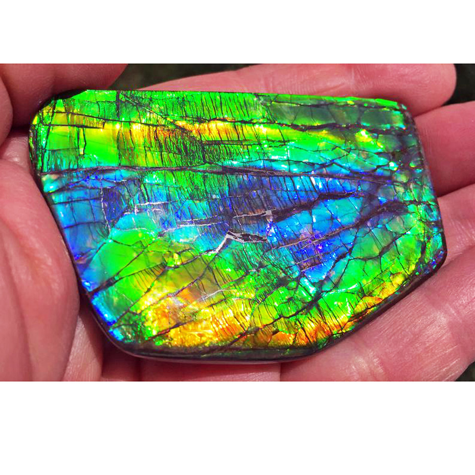 Ammolite Loose Stones & Fossils - Ammolite Large Polished Hand ...
