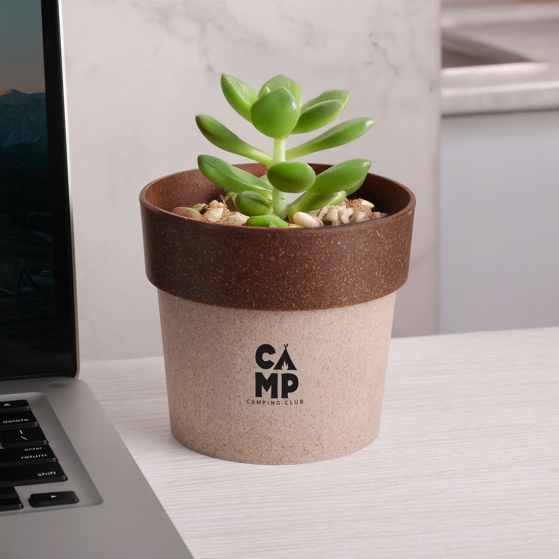 Regen Eco Planting Pot - HPG Brands