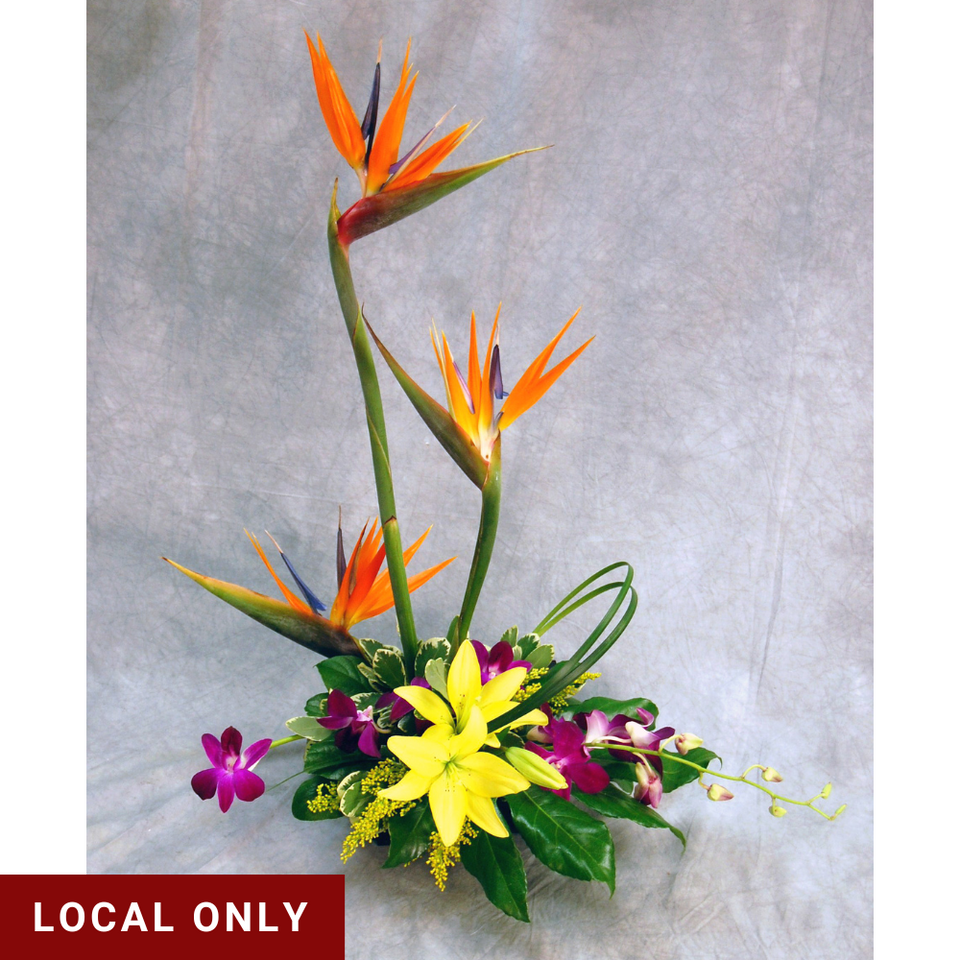DC | York Flowers