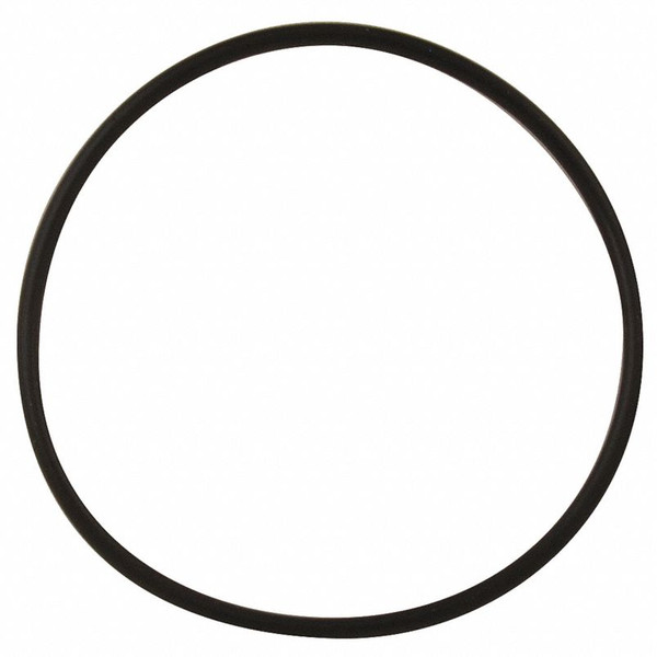 O-Ring (Volute) | WT30X - DHS Equipment