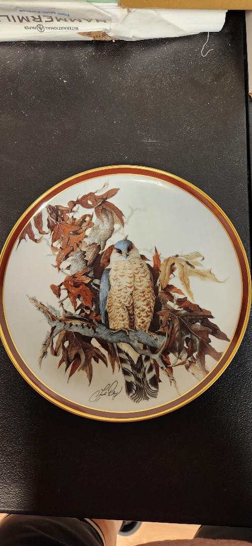 The Hamilton Collection Cooper’s Hawk Plate Majestic Birds of Prey Plate