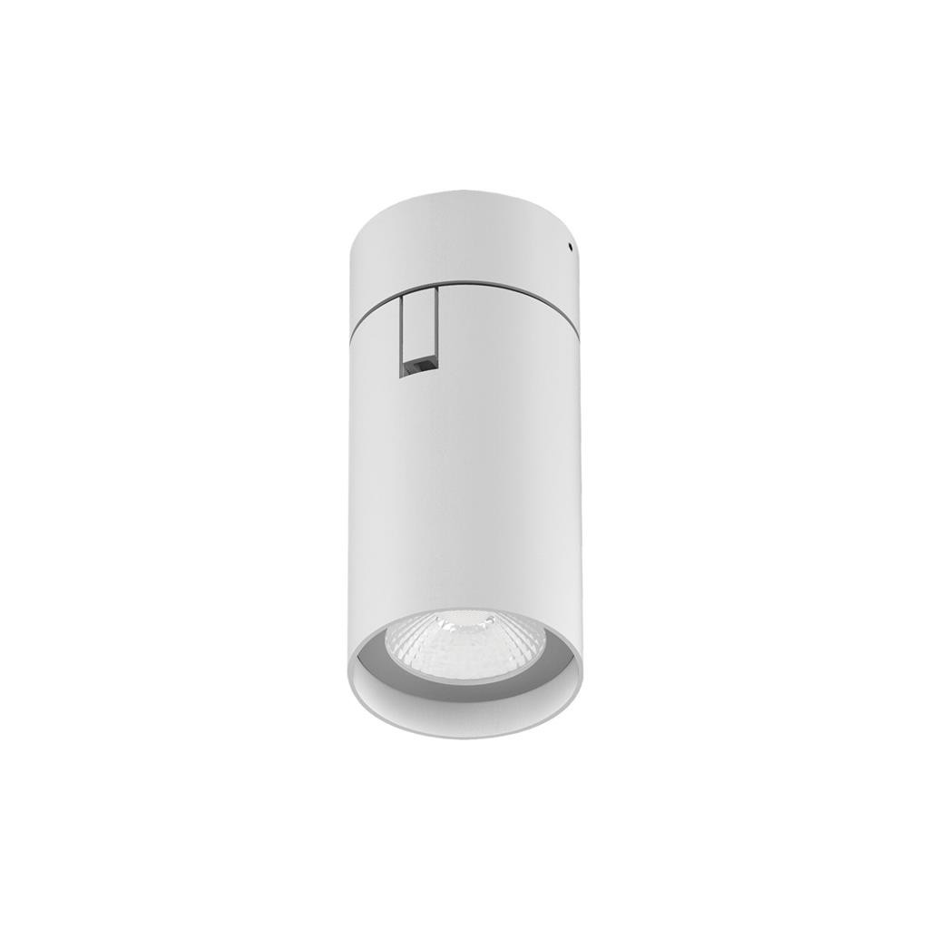 Adjustable Surface Mounted Cylindrical Downlight In White Tri Colour ...