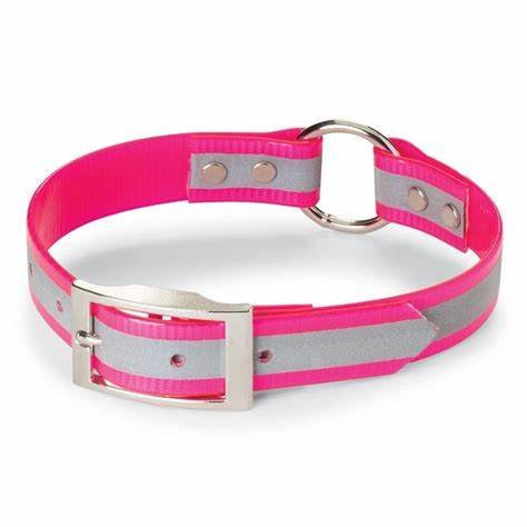 Reflective Dayglo Collars with O-Ring | Dan's Hunting Gear