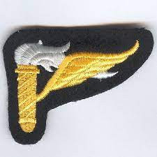 Canadian Armed Forces Pathfinder Badge - CampXSurplus