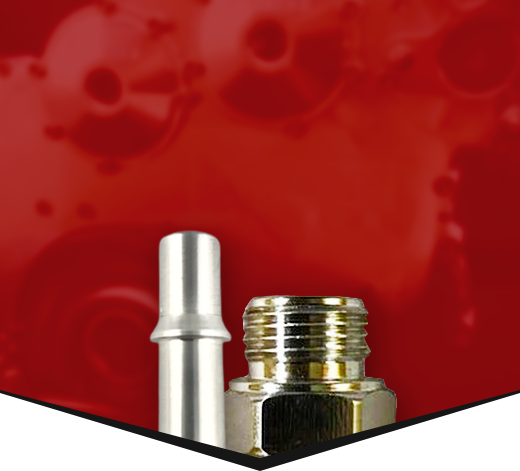 Beans Diesel Performance