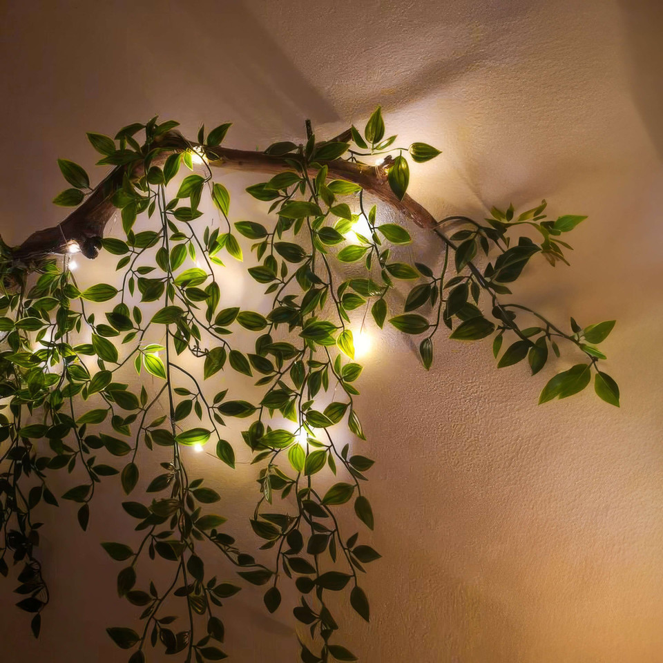 Home Page Products - Best Sellers - Page 1 - TwinklingTree