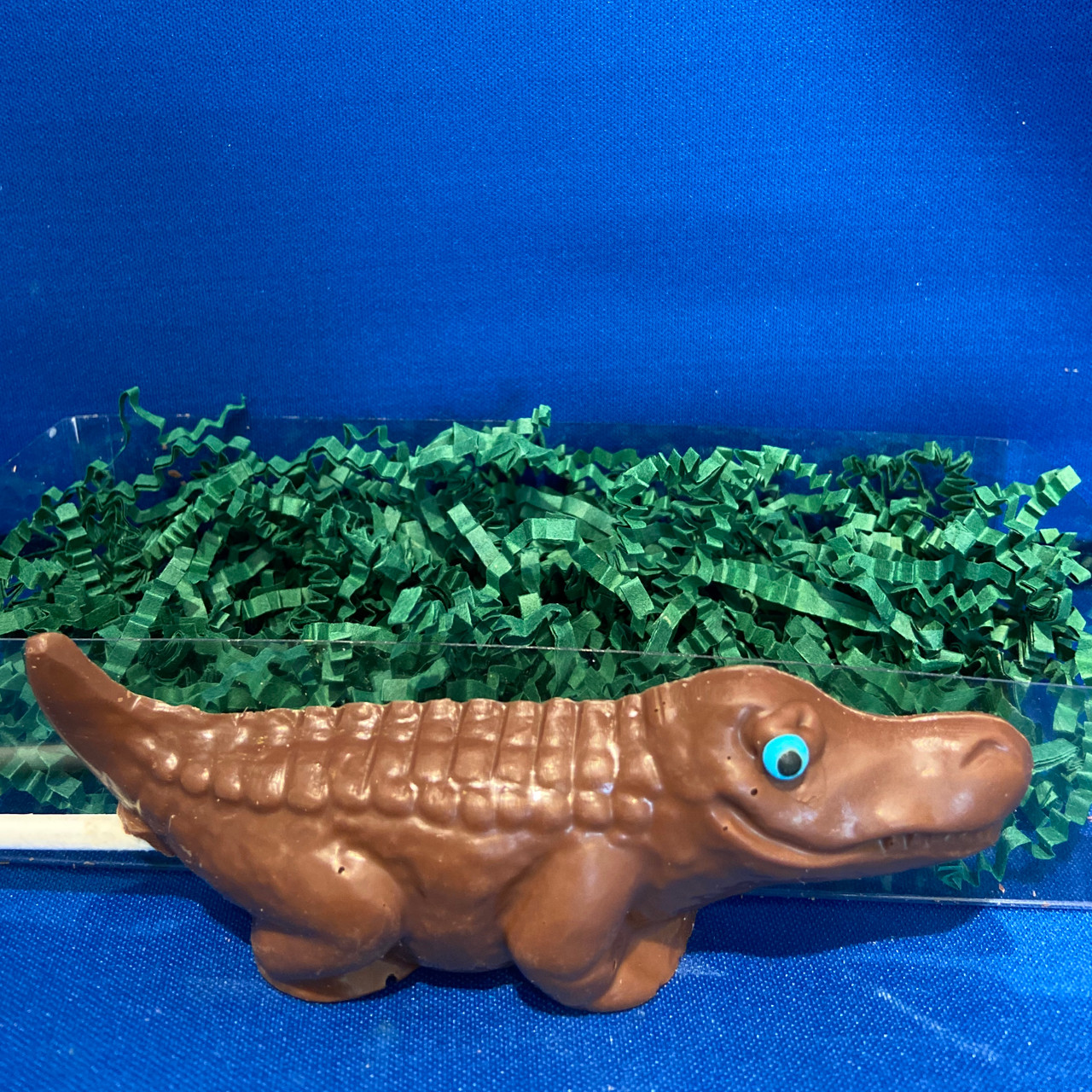 Chocolate Alligator