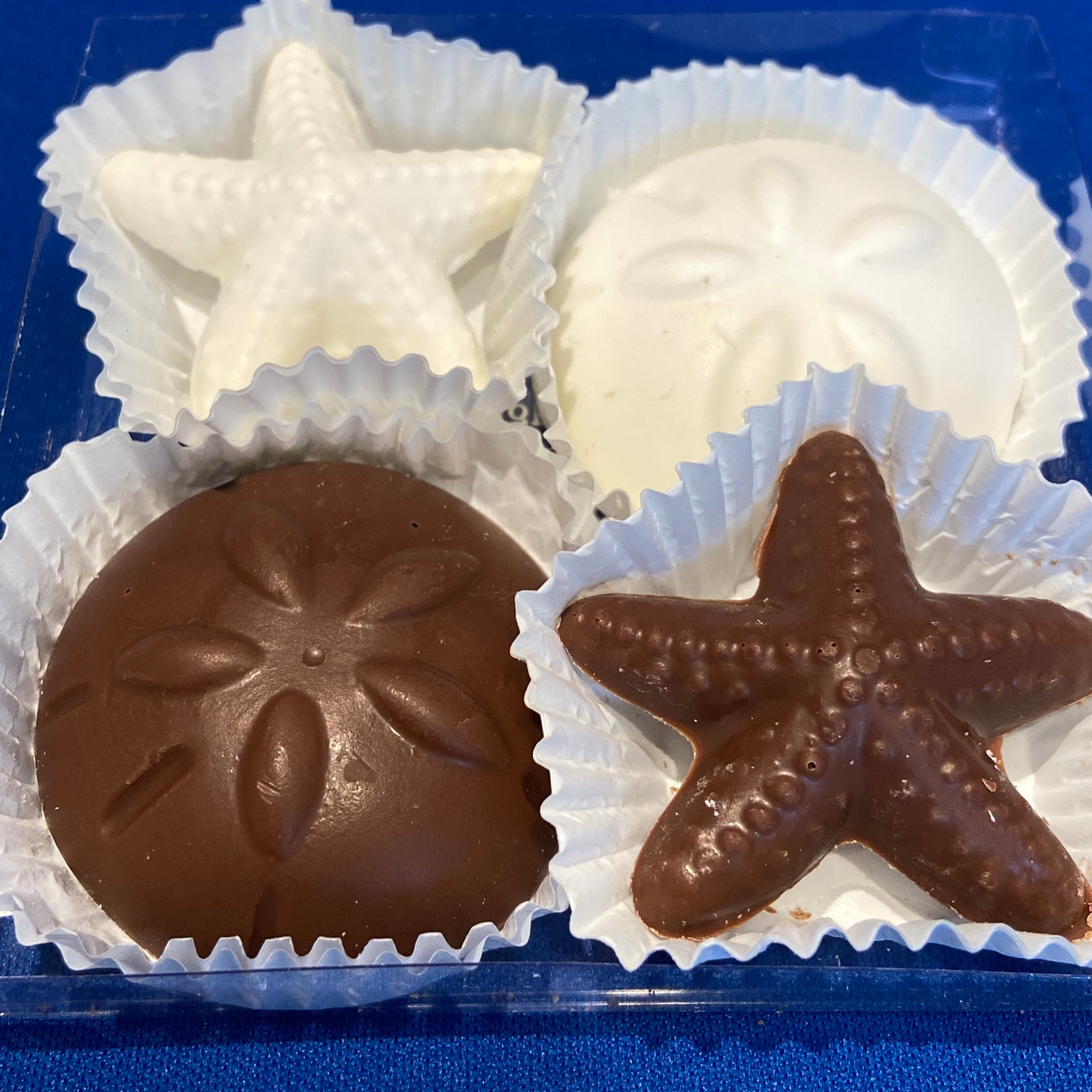 Sea Shell Box