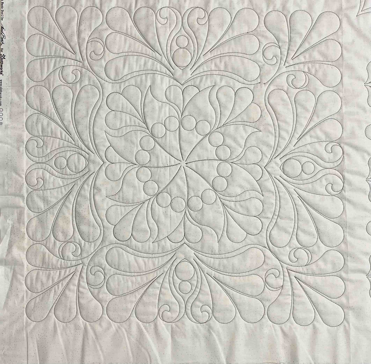 Alyssa Border 1