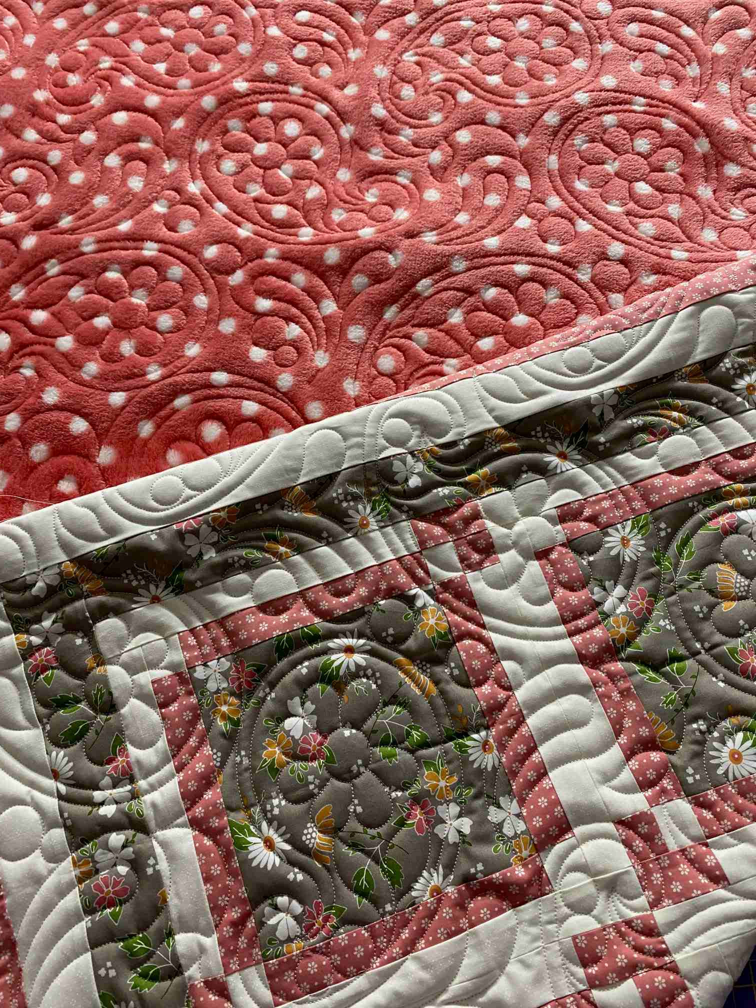 Paisley Daisy Edge-to-Edge
