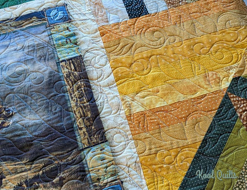 Computerized Quilting Hawk Feathers Edge-to-Edge