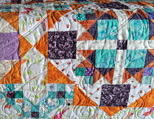 Computerized Quilting Hawk Feathers Edge-to-Edge
