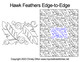 Computerized Quilting Hawk Feathers Edge-to-Edge