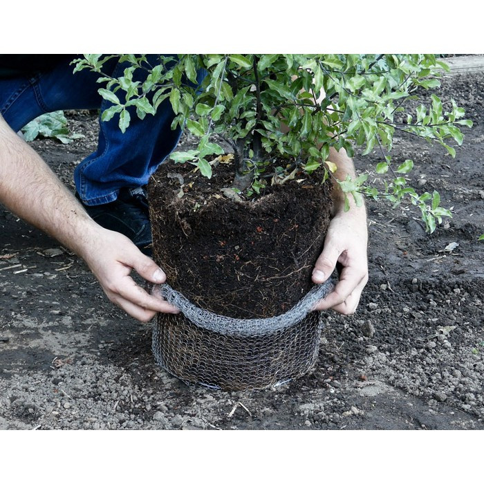 1-Gallon RootGuard Heavy Duty Gopher Wire Baskets | Hardworking Products