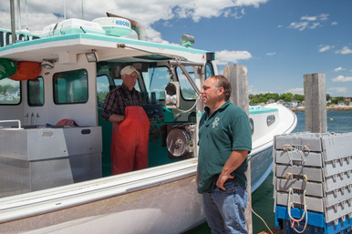 Maine Lobster Tails (12-14 oz)