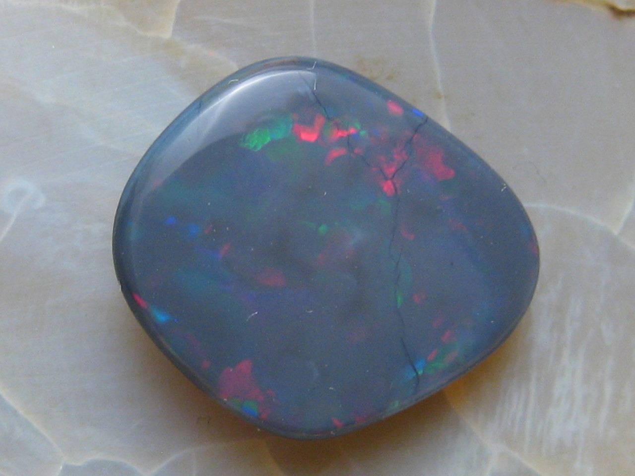Show Off - Black Opal