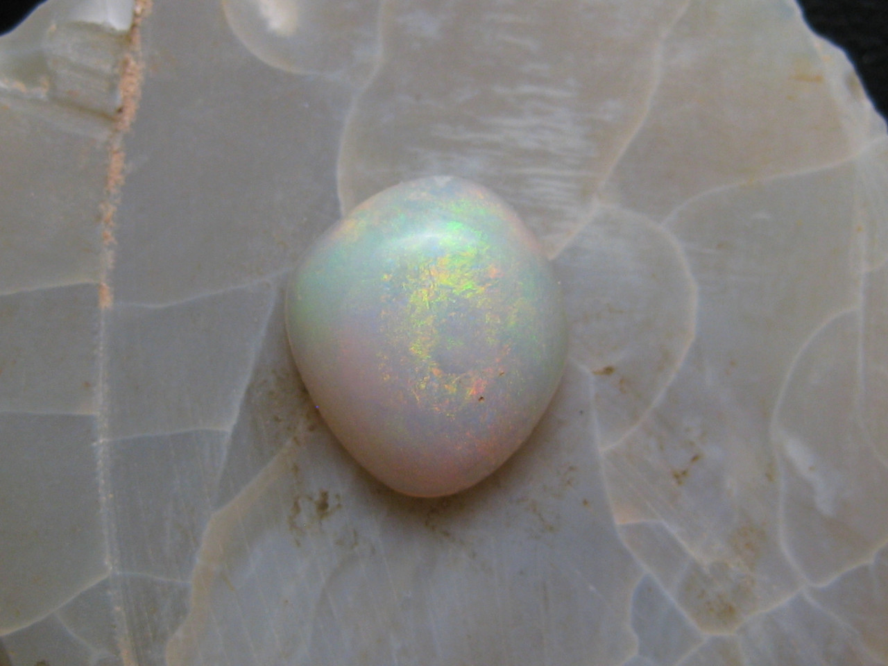 Clarabelle - Solid White Opal
