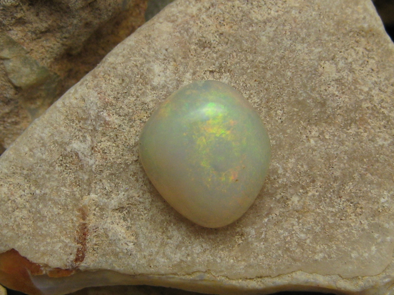 Clarabelle - Solid White Opal