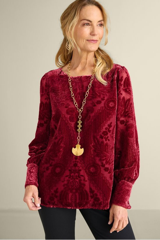Vanetta Velvet Top