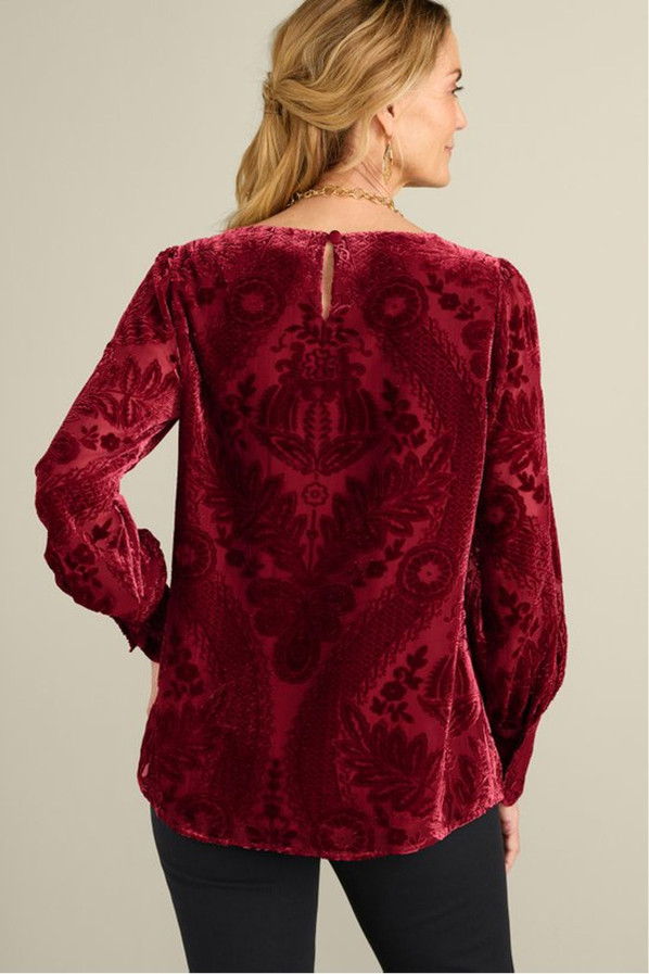 Vanetta Velvet Top