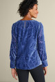 Vanetta Velvet Top
