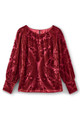 Vanetta Velvet Top