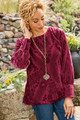Vanetta Velvet Top